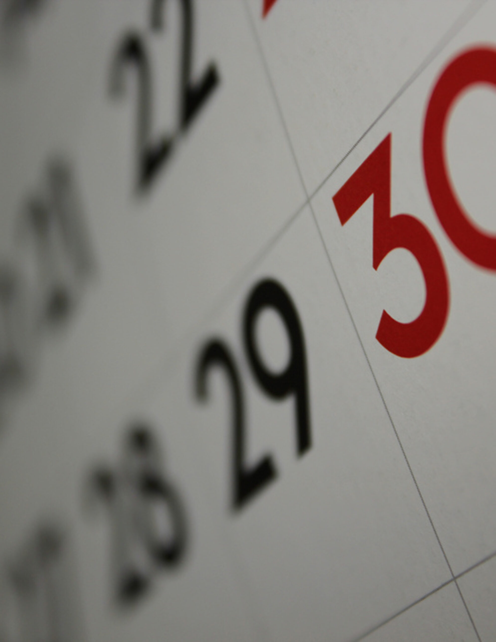 Christ the King Catholic Church | The online home of Christ the King ...